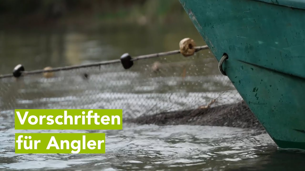 MV Spezial: Mehr Vorschriften für Angler in M-V - MV1